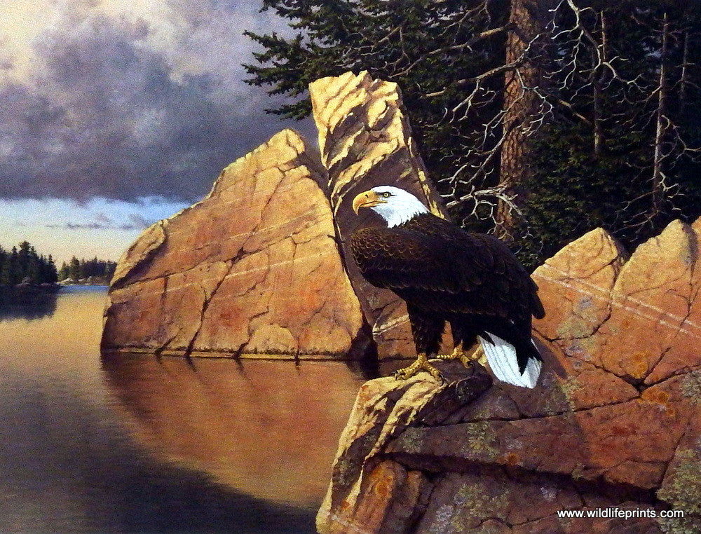 Artist Derk Hansen Unframed Eagle Art Print Guardian Of The Heritage ...